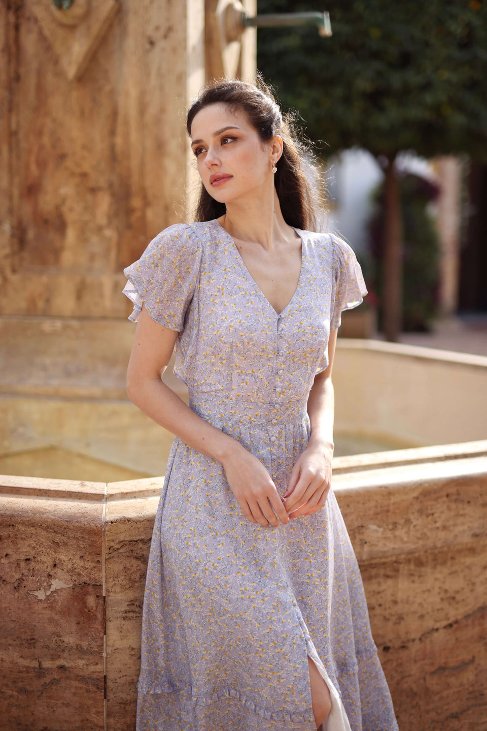 Button Down Dress Caroline – Gaâla